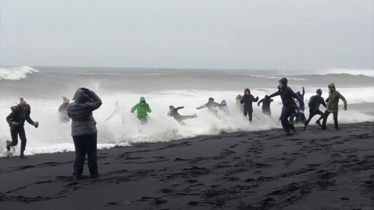 Discover Reynisfjara: Iceland's Spectacular Black Sand Beach